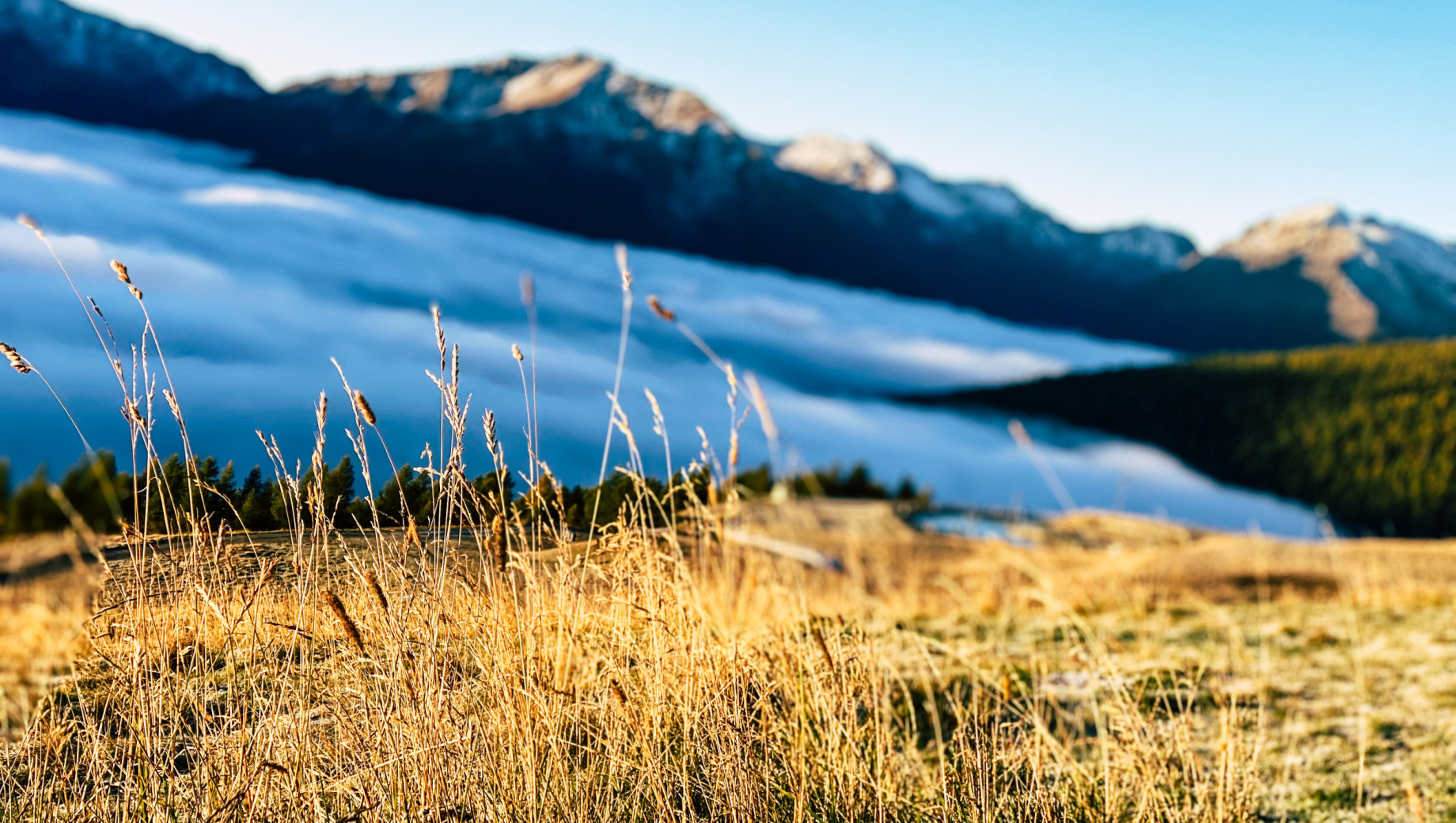 Startseite | Ausser Schwemmalm im Ultental | Südtirol | Italien